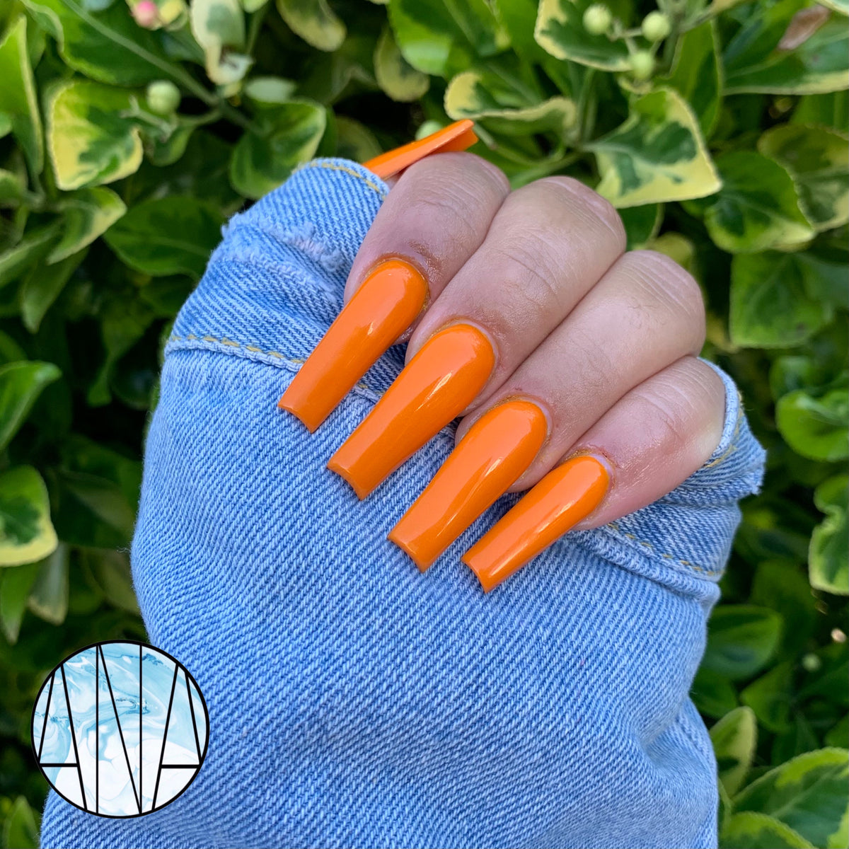 Spice – Anacrylics