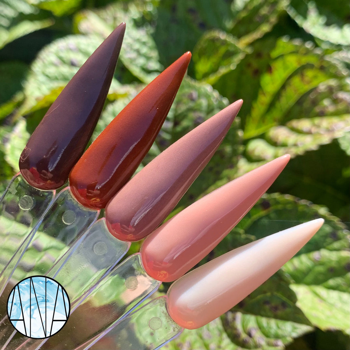 Chocolate Collection - Bundle 🍫 – Anacrylics